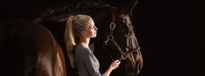January 2026 10% Off Saddlery Trading Company Brands – Page 6 – The ...